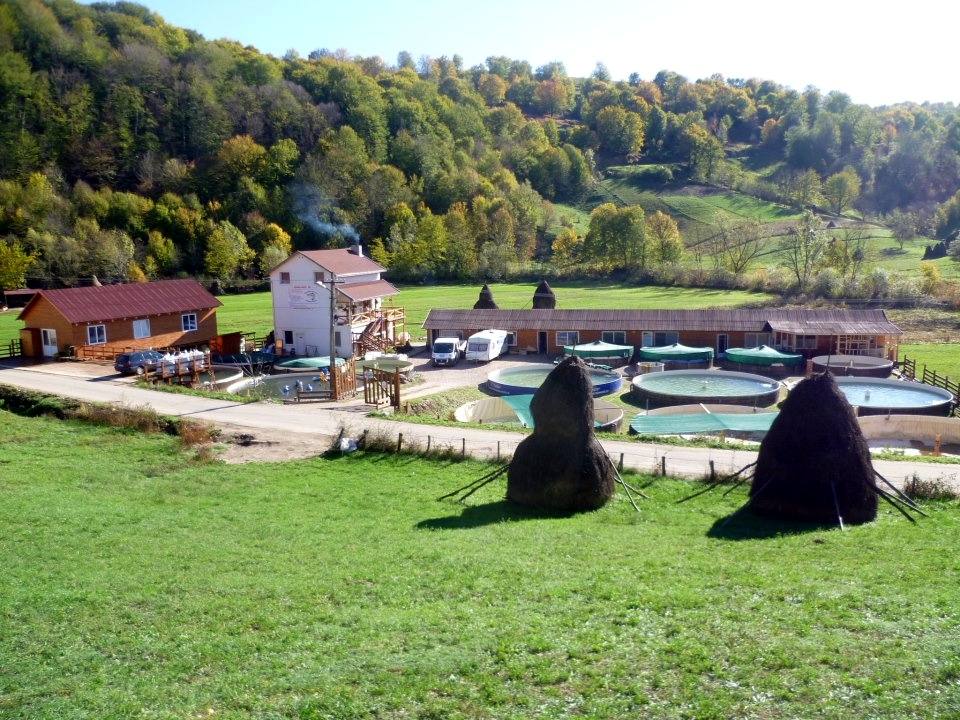 Imagini – Novara Invest – Rosia-Bihor